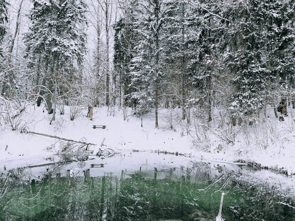 Saula Siniallikad: um dos lugares mais bonitos que já visitamos na Estônia